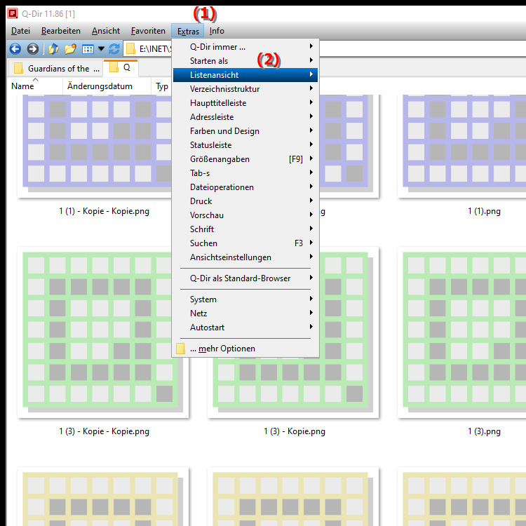 Wie kann ich die Listenansicht anpassen im Datei Explorer Q?