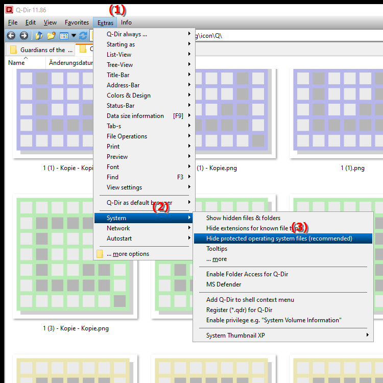 How to show or hide protected and system files in Quad File Explorer?